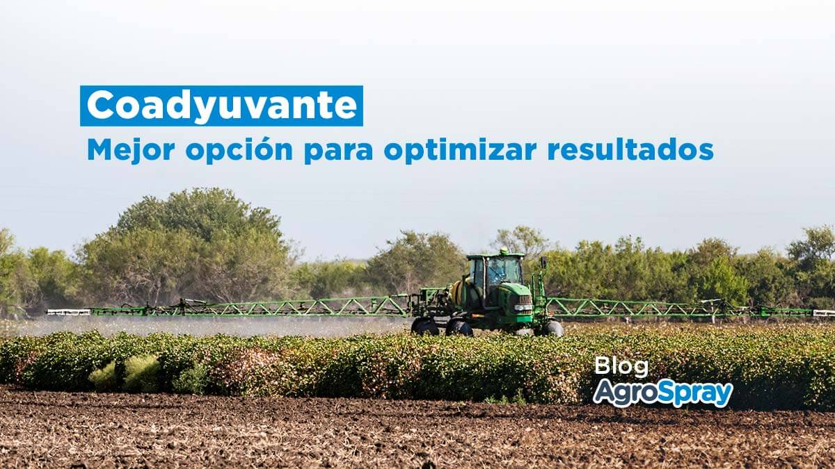 Coadyuvante: la Mejor Opción para Optimizar Resultados