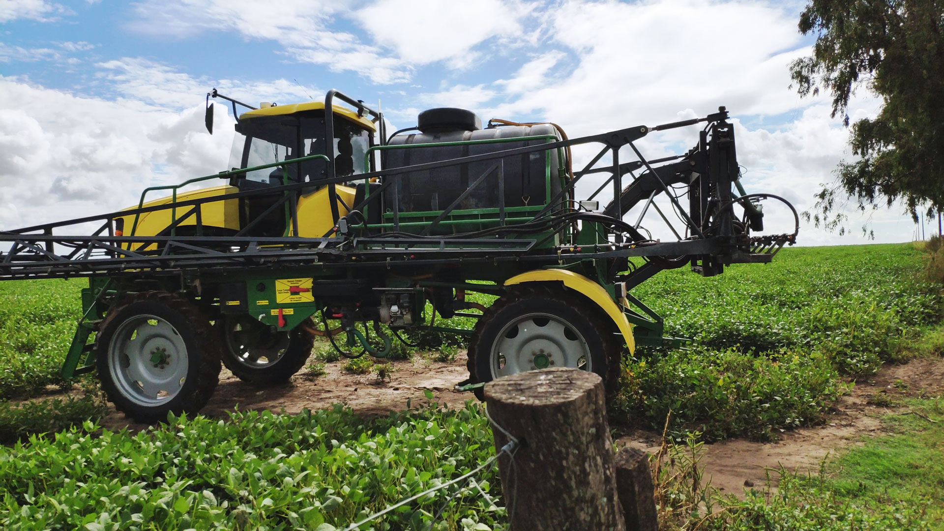Coadyuvante: Conoce sus Tipos para Seleccionar el Más Adecuado