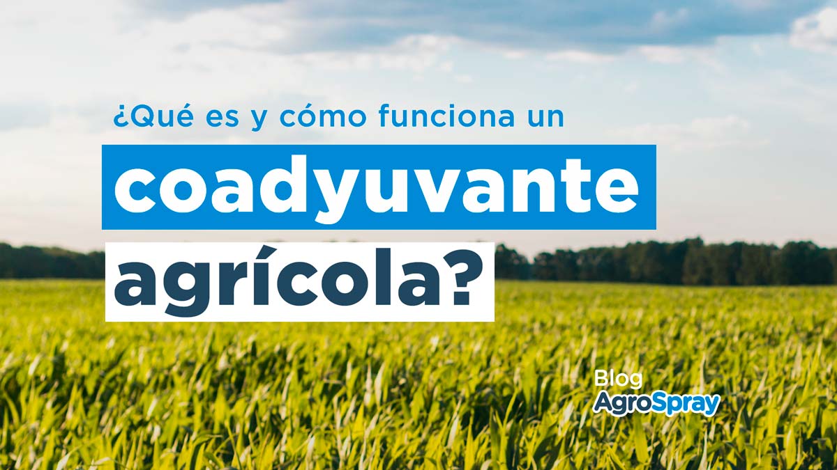 ¿Qué es y cómo funciona un coadyuvante agrícola? - AgroSpray Blog
