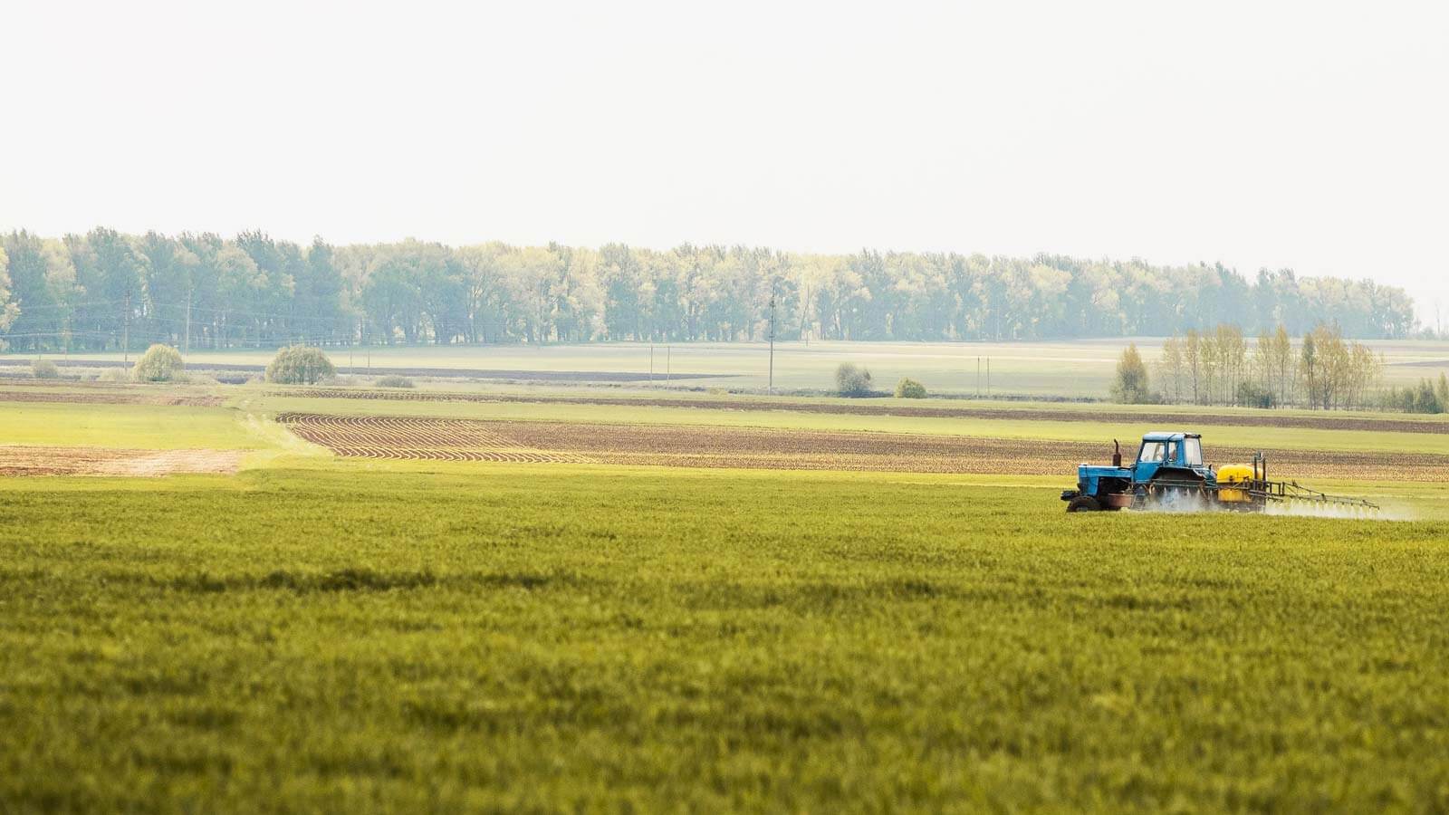 Todo sobre los coadyuvantes para el Agro - AgroSpray Blog