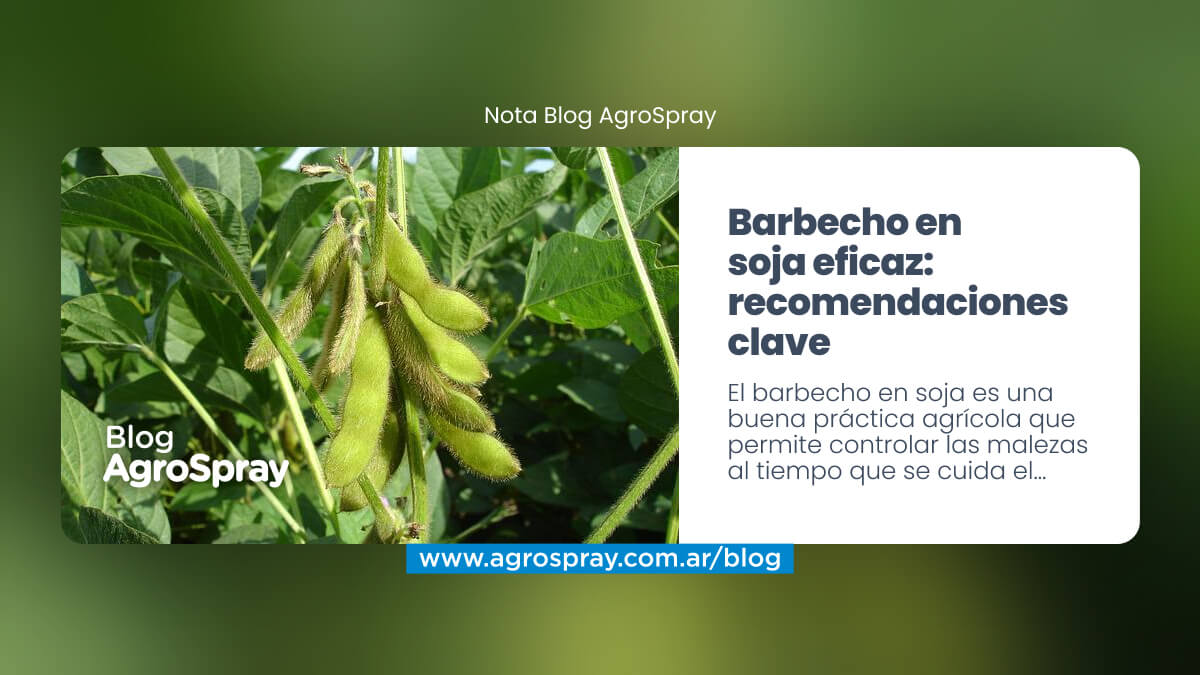 Barbecho en soja eficaz: recomendaciones clave