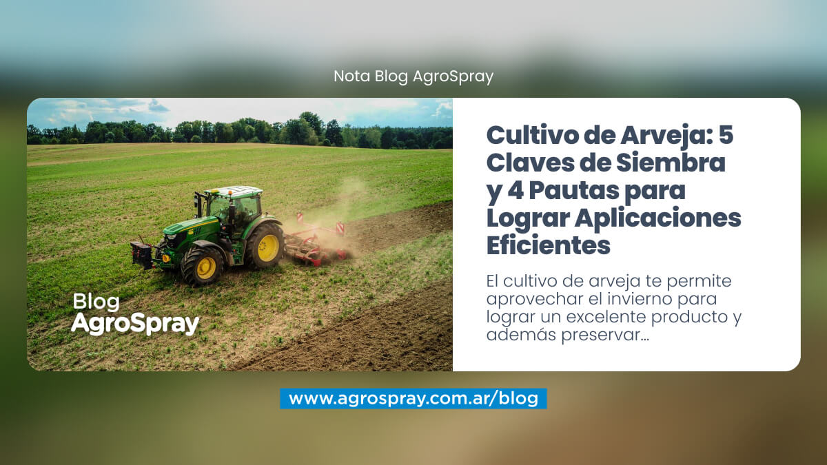 Cultivo de Arveja: 5 Claves de Siembra y 4 Pautas para Lograr ...